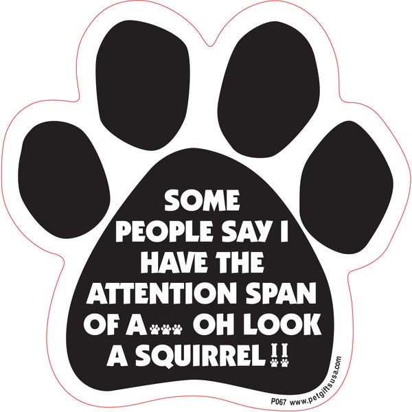 Oh Look Squirrel Etsy