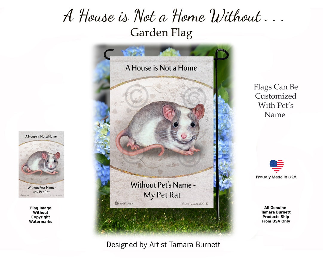 Rat - A House is Not A Home Without My Grey & White Pied Rat Garden ...