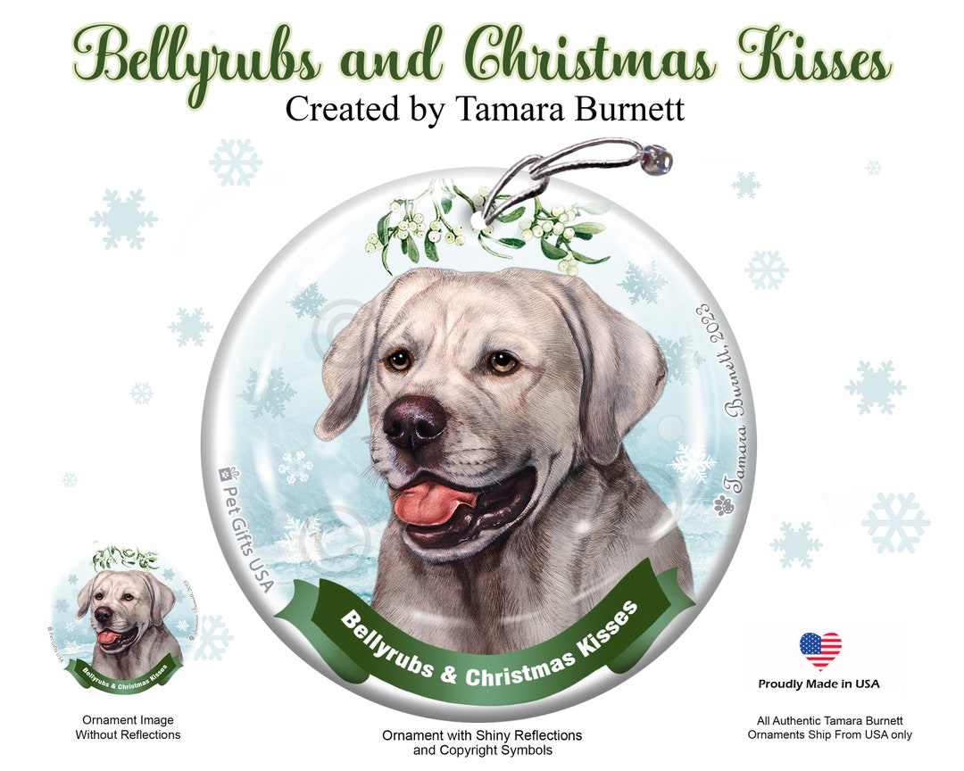 Labrador Retriever English Silver - Belly Rubs and Christmas Kisses ...