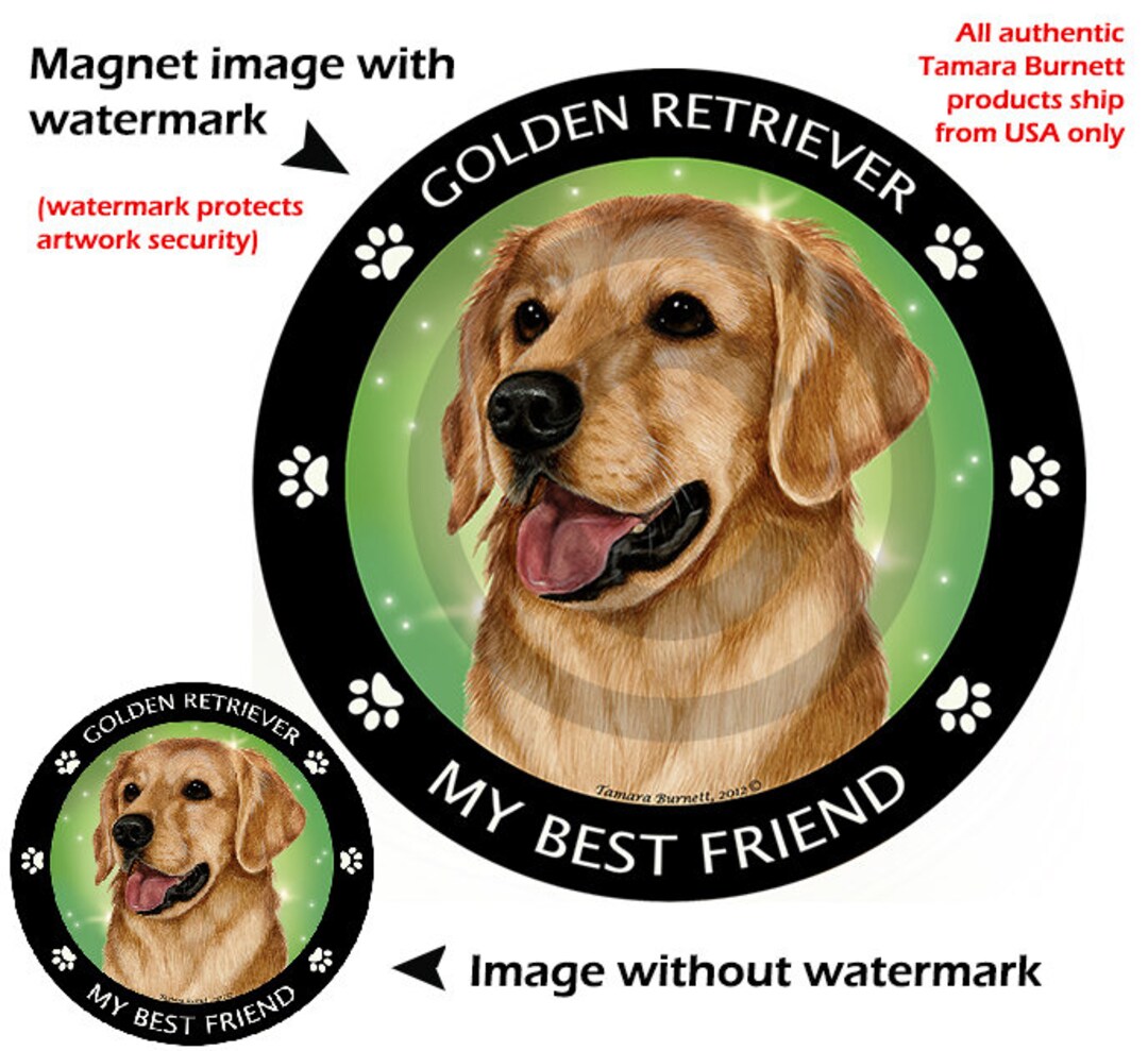 Golden Retriever My Best Friend Circular Magnet - Packaged by Persons ...
