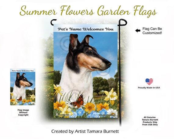 Tri Color Smooth Collie
