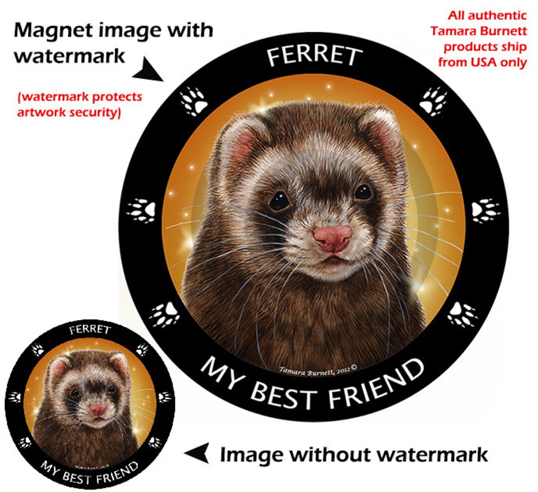 Ferret My Best Friend Circular Magnet - Packaged by Persons With ...
