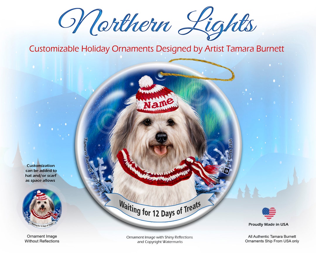 Havanese Silver Sable Northern Lights Christmas Ornament - Etsy