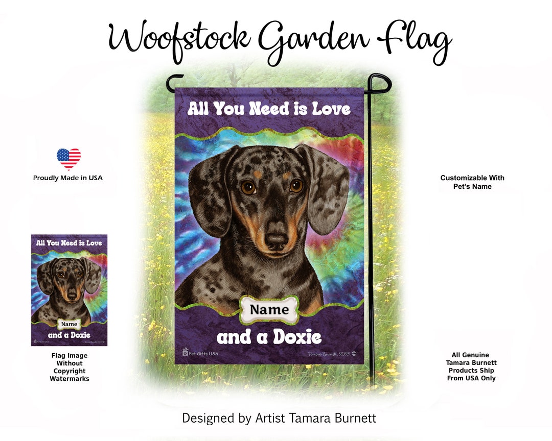 All You Need is Love and a Dachshund SH Dapple Chocolate & Tan ...