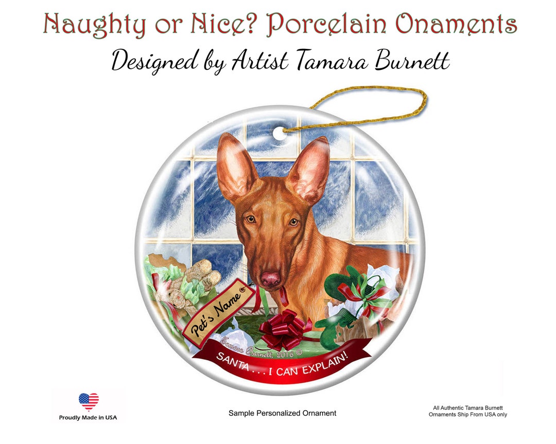 Pharaoh Hound Santa I Can Explain Christmas Ornament - Etsy