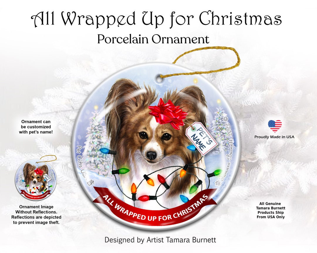 Papillon Sable & White All Wrapped up for Christmas Ornament - Etsy