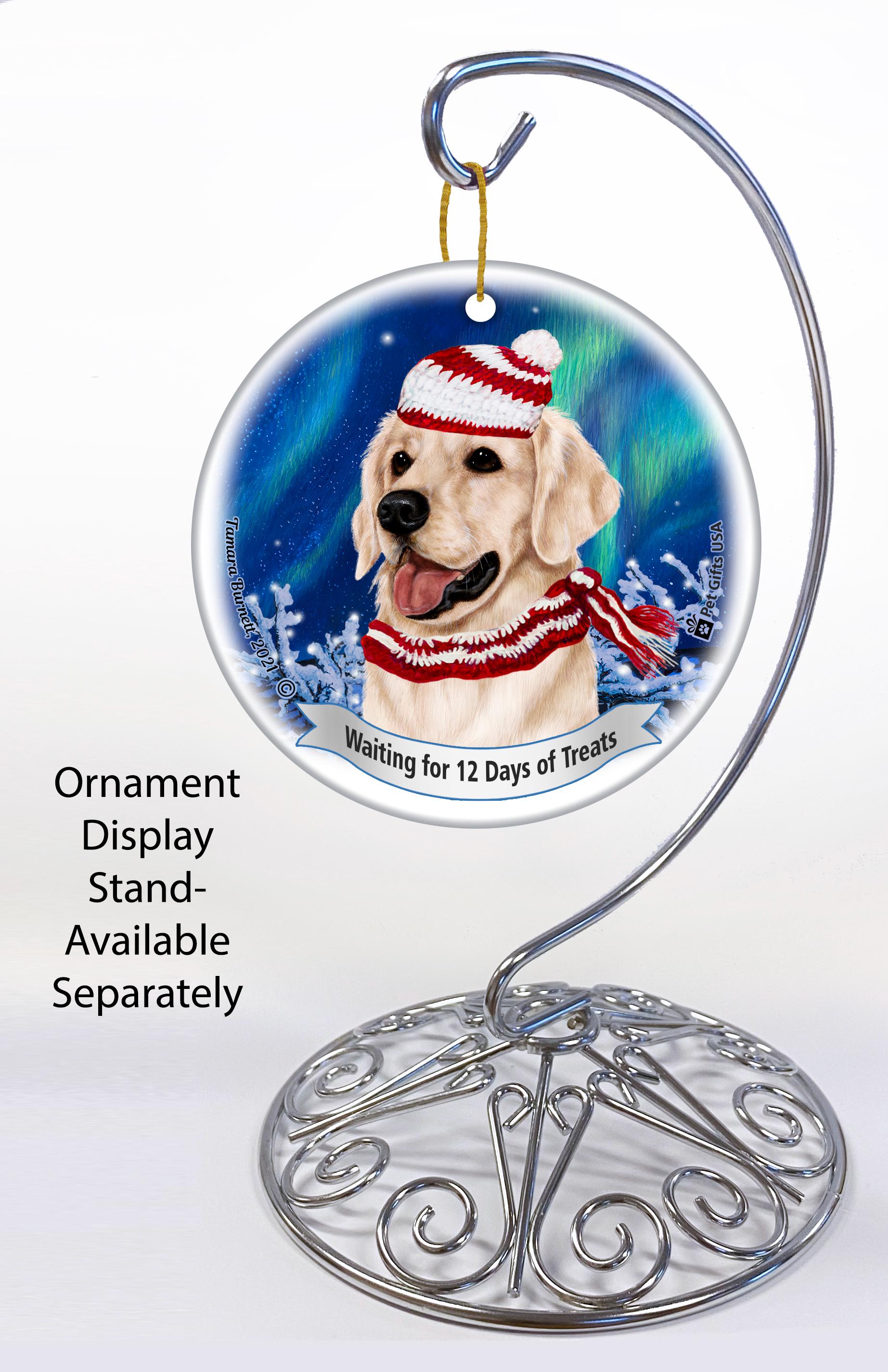 Guinea Pig Silkie Northern Lights Christmas Ornament - Etsy