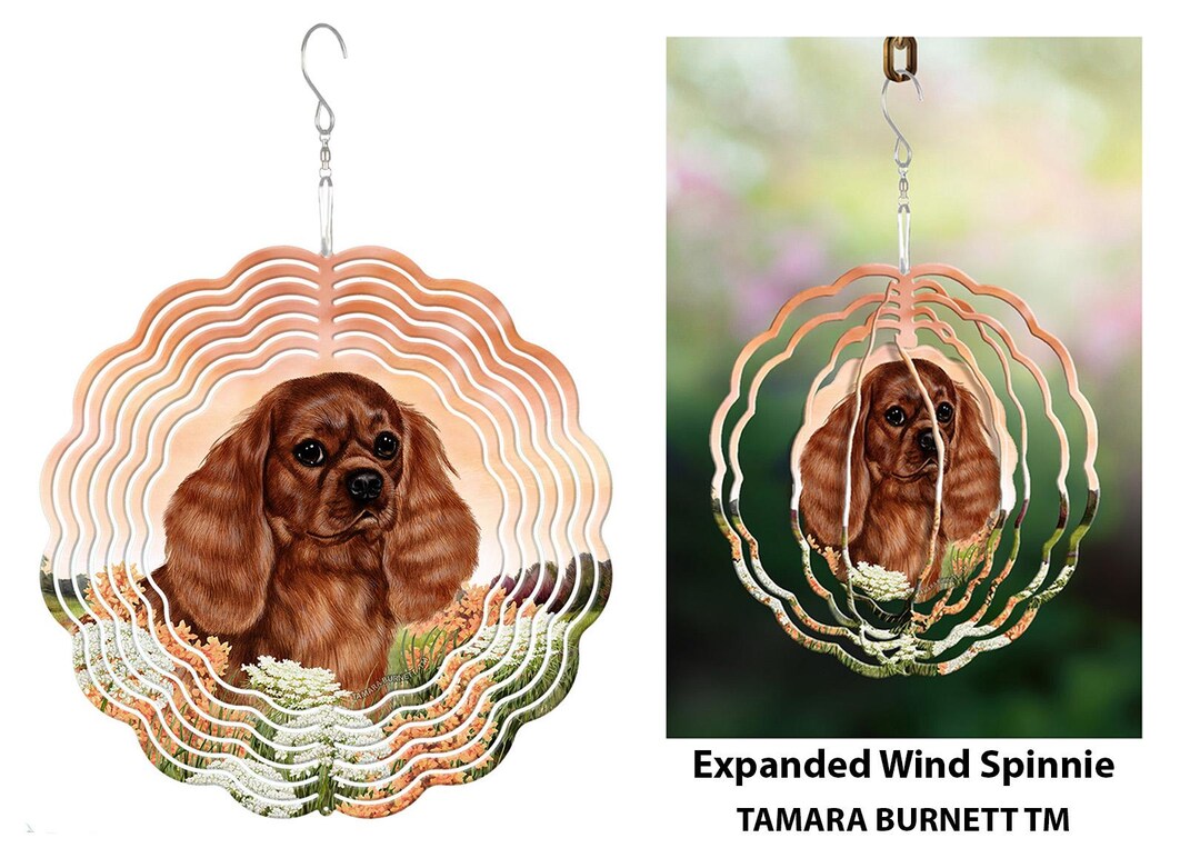 Cavalier King Charles Ruby - Wind Spinner - Etsy