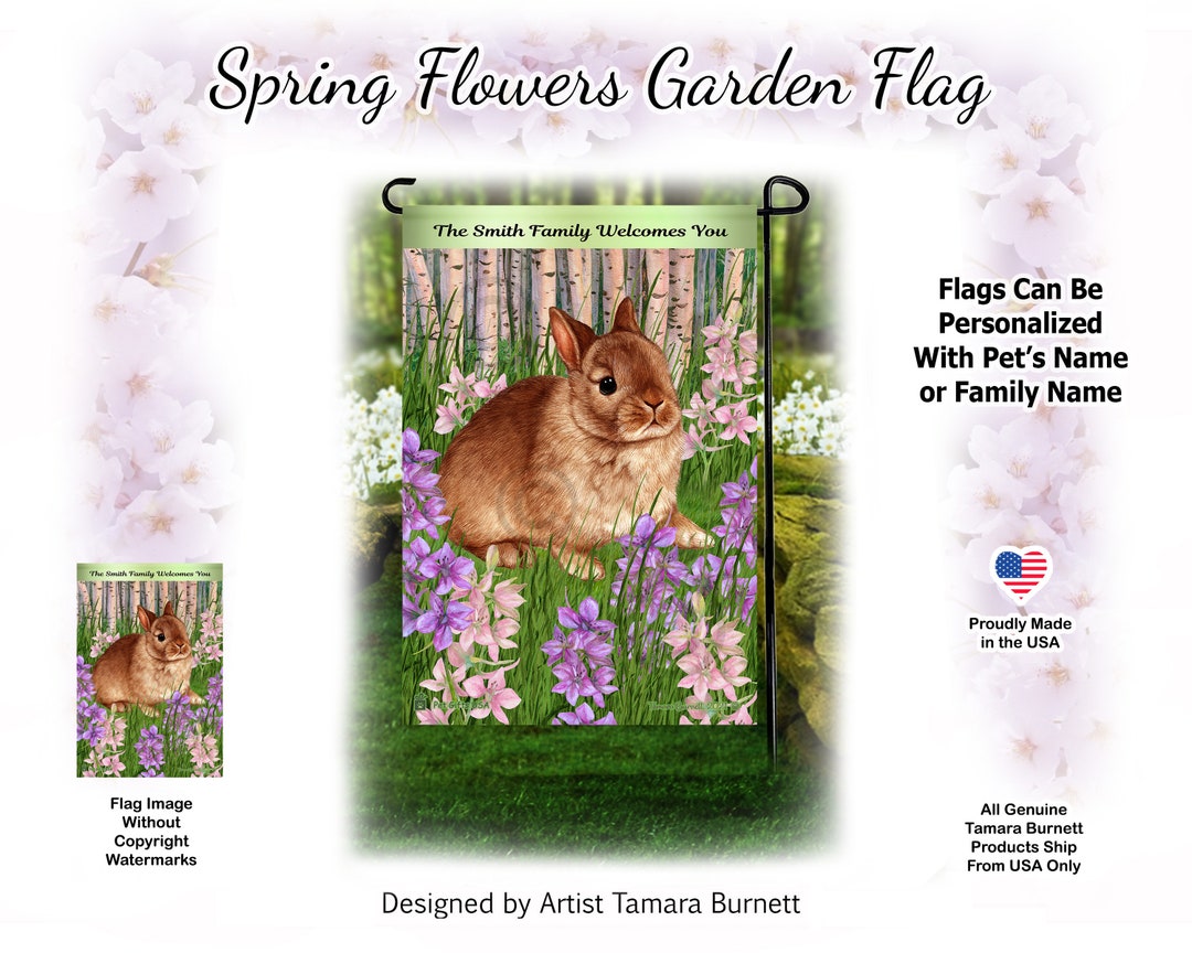 Netherland Dwarf Cinnamon Rabbit Can Personalize With Pet or Family ...