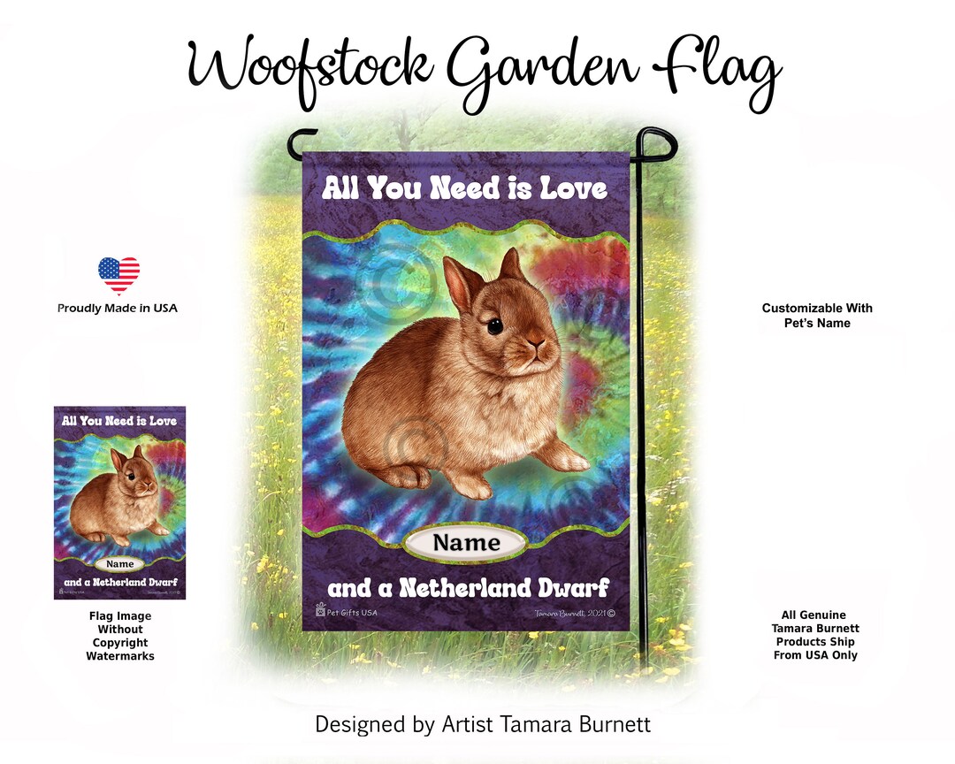 All You Need is Love and a Netherland Dwarf Cinnamon Rabbit - Woofstock ...