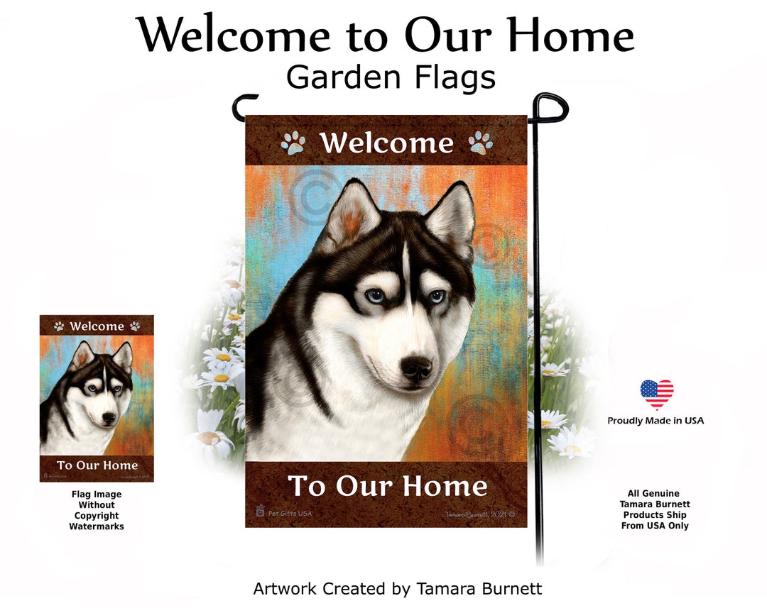 Siberian Husky Black & White Blue Eyes - Welcome to Our Home Garden ...