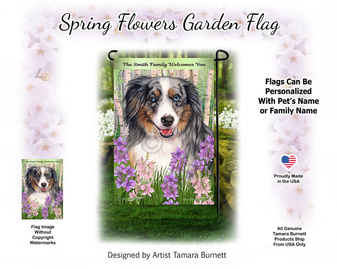 American Shepherd Blue Merle Spring Design Garden Flag - Etsy