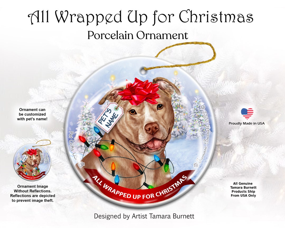 Pit Bull Cream & White Uncropped All Wrapped up for Christmas Ornament ...