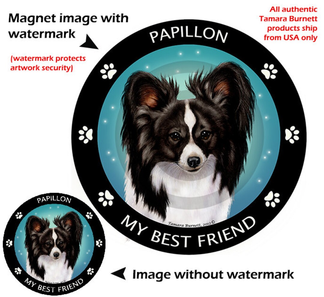 Papillon Black & White My Best Friend Circular Magnet - Packaged by ...