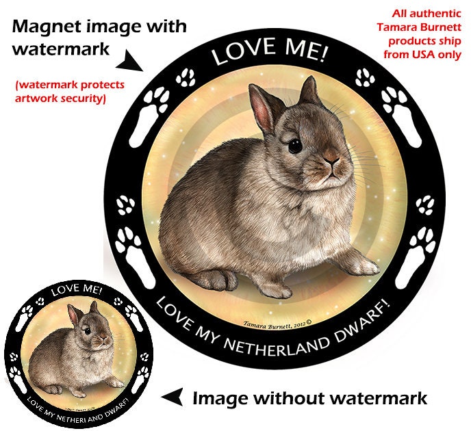 Netherland Dwarf Rabbit My Best Friend Circular Magnet | Etsy