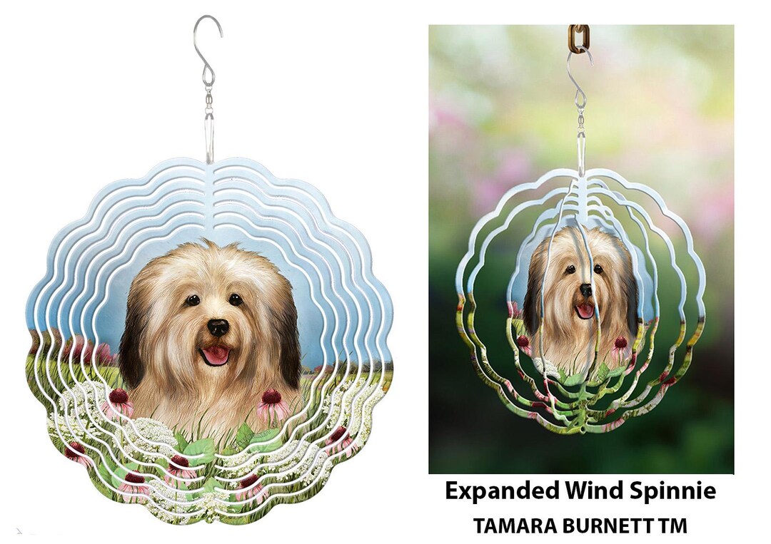 Havanese Cream Sable (puppy) - Wind Spinner - Etsy