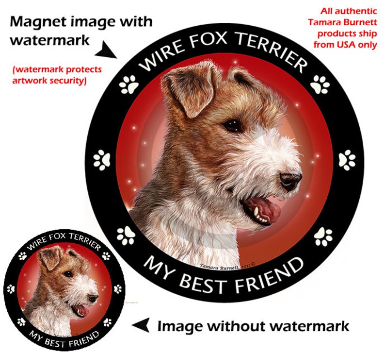 Wire Hair Fox Terrier Magnet – Dog Art by Tamara Burnett (5.5" X 5.5 ...