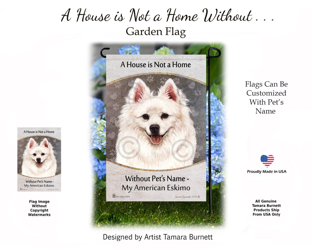 American Eskimo - A House is Not A Home Without My American Eskimo ...