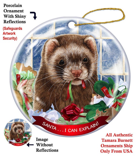 Black Mitt Ferret