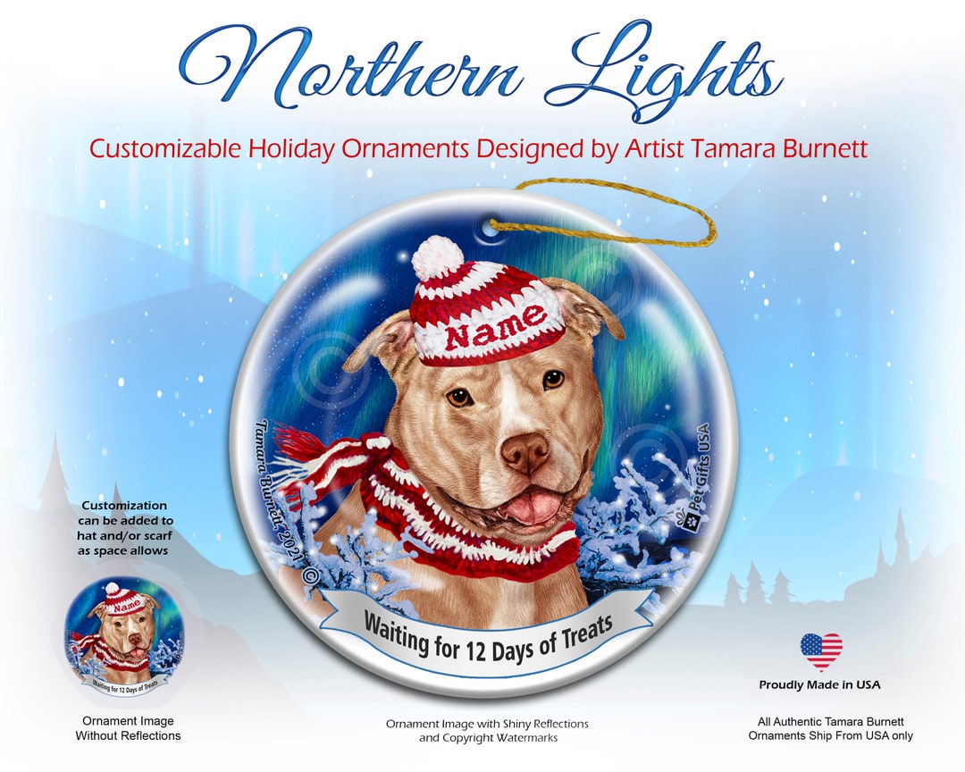 Pit Bull Cream & White Uncropped Northern Lights Christmas Ornament - Etsy
