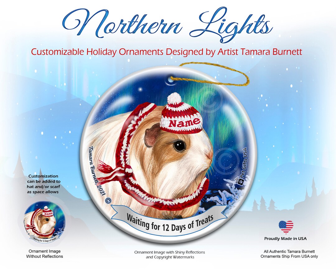 Guinea Pig Silkie Northern Lights Christmas Ornament - Etsy