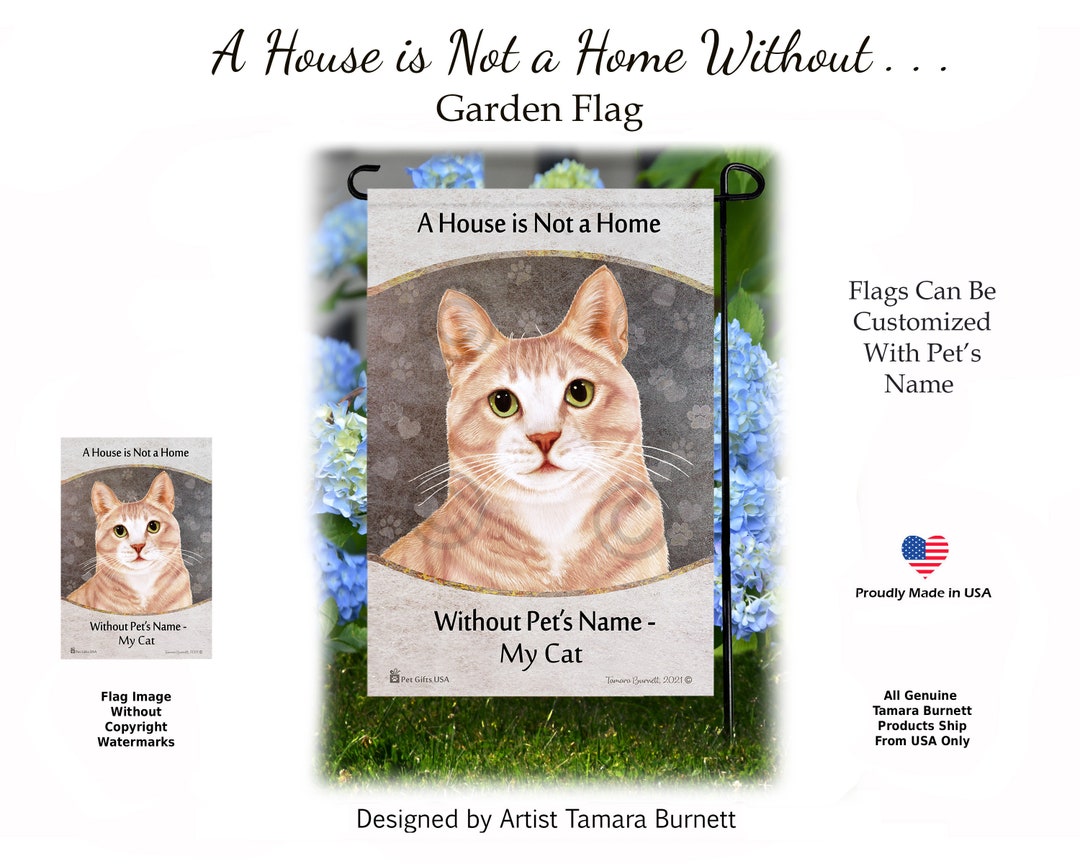 Tuxedo Cat - A House is Not A Home Without My Cream & White Tuxedo Cat ...