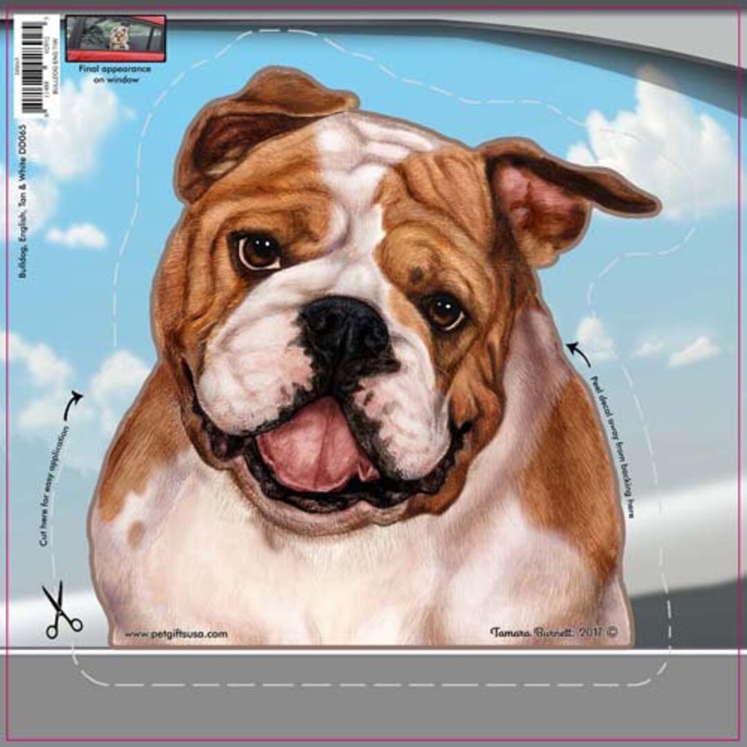 English Bulldog - Dogs on the Move Window Decal, the Sticker Measures ...