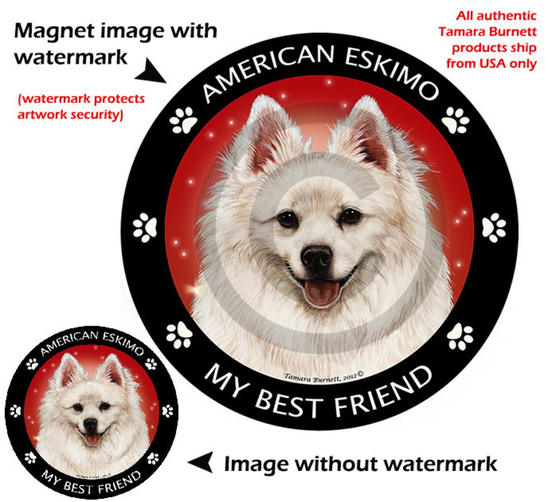American Eskimo My Best Friend Circular Magnet - Packaged by Persons ...
