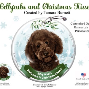 Labradoodle Chocolate Poodle Cut Belly Rubs and Christmas Kisses ...