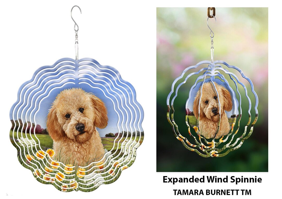 Labradoodle Apricot - Wind Spinner - Etsy