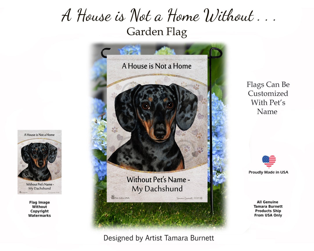 Dachshund - A House is Not A Home Without My Dachshund Dapple Dark ...