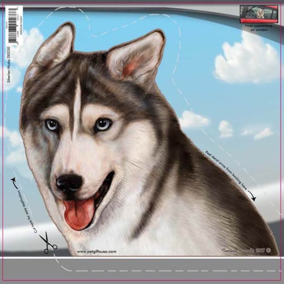 Siberian Husky - Window Decal Sticker, the Sticker Measures 10" X 12 ...