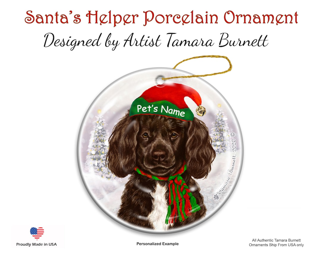 Portuguese Water Dog Chocolate and White Beardless - Santa's Helper ...