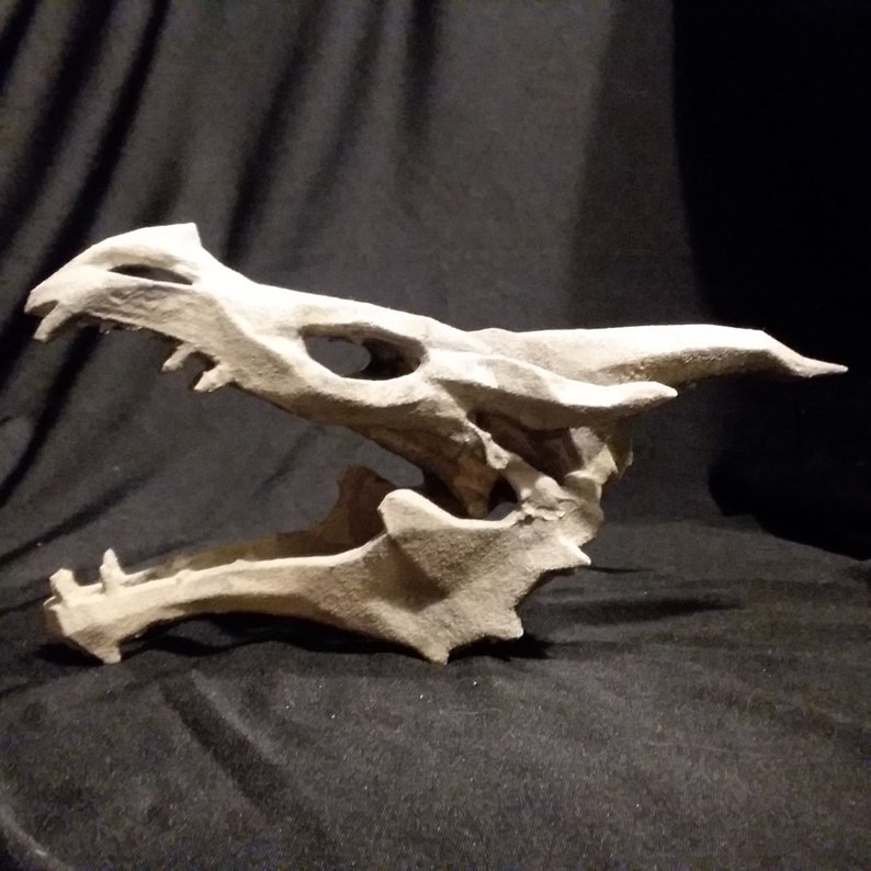 Skyrim Dragon Skull | Etsy