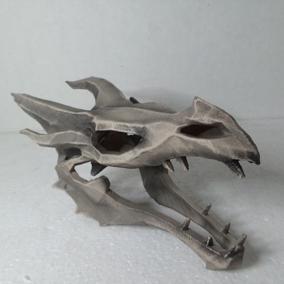 Real Dragon Skull