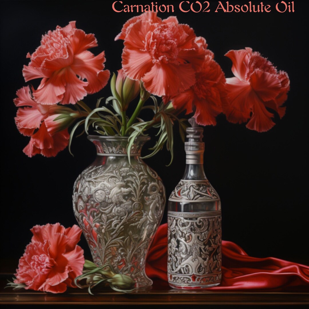 Carnation CO2 Absolute Essential Oil Dianthus Caryophyllus - Etsy