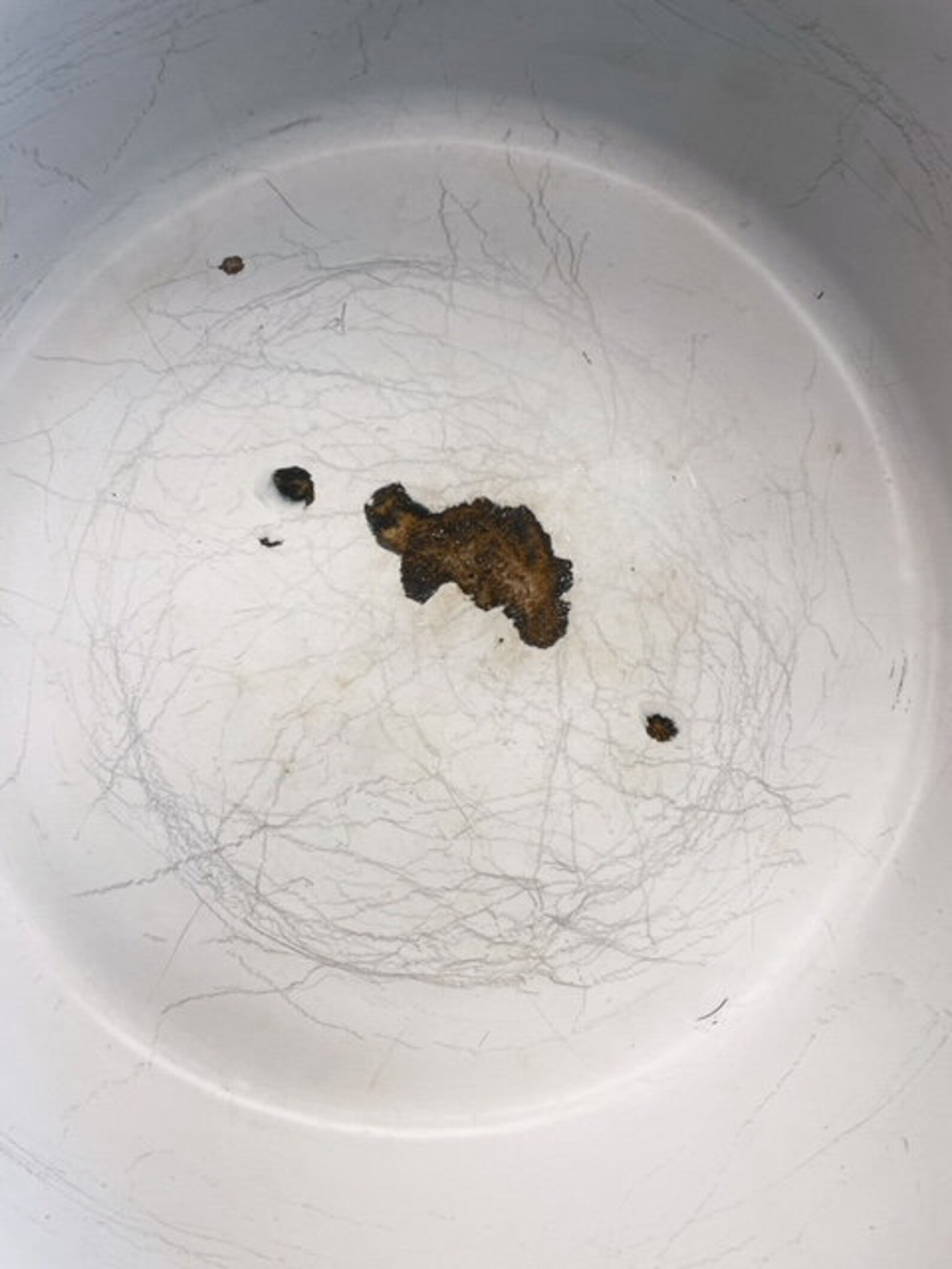 Enamelware Wash Tub Vintage Basin Metal Planter Beverage - Etsy