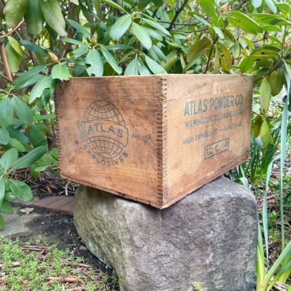 Dynamite Crate - Etsy