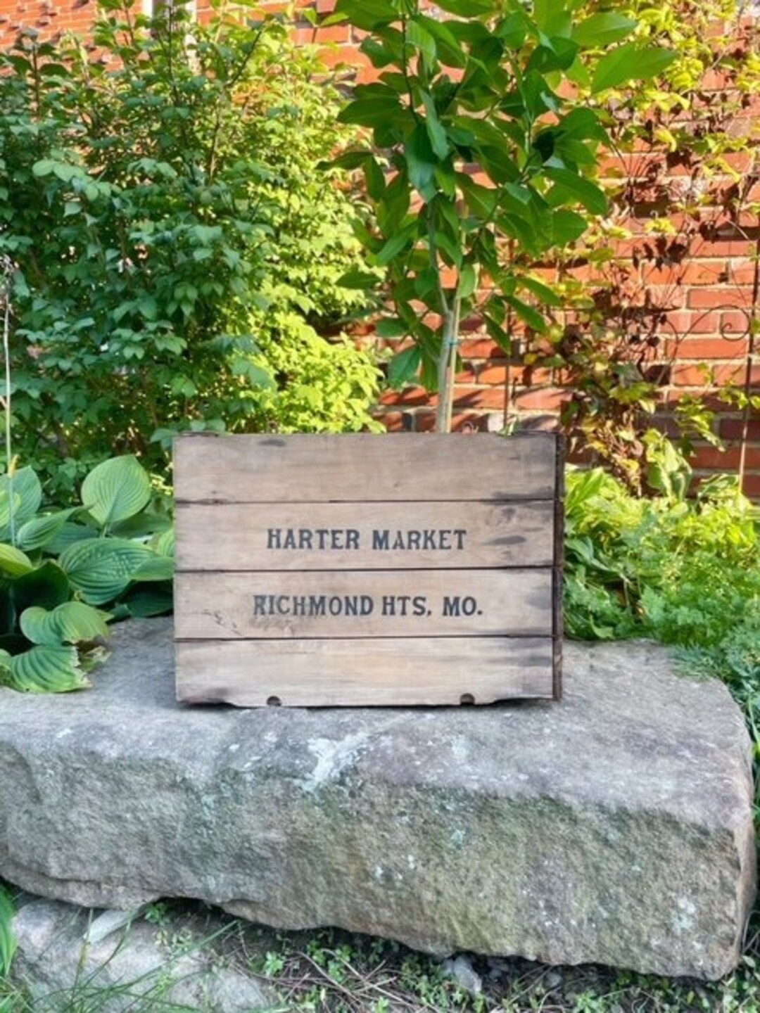 Vintage Wooden Fruit Crate Orchard Produce Box - Etsy