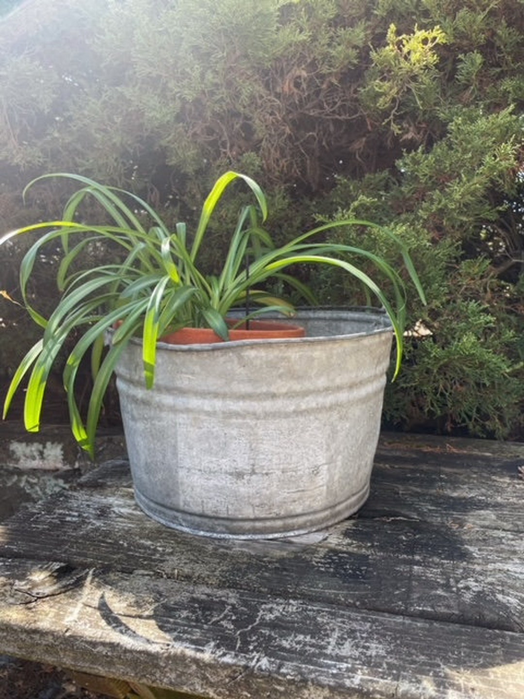 Large Vintage Farm Bucket Galvanized Metal Farm Pail Industrial ...
