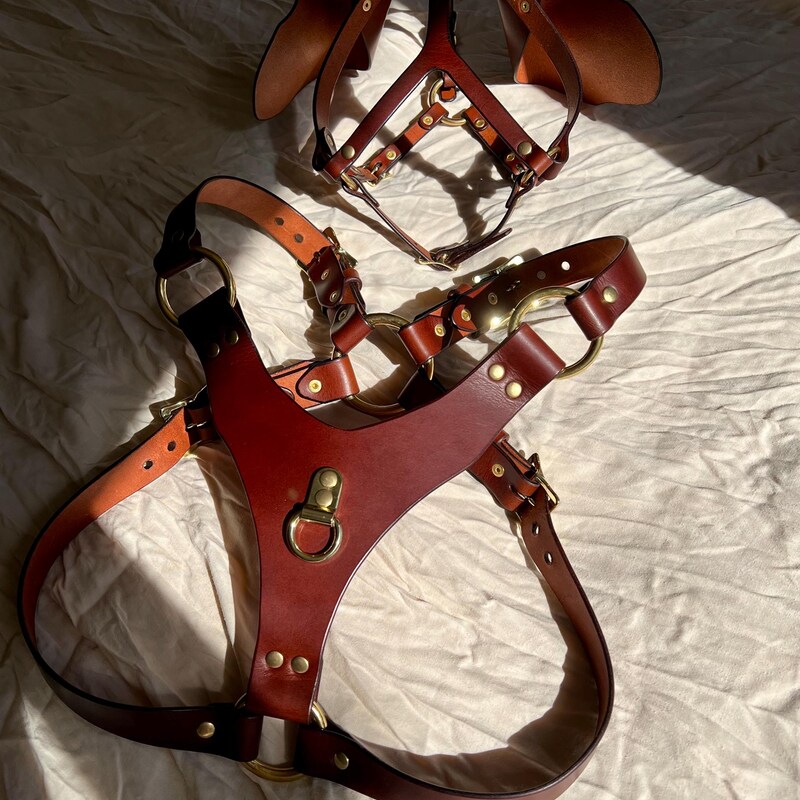 Pony Play Harness - Etsy