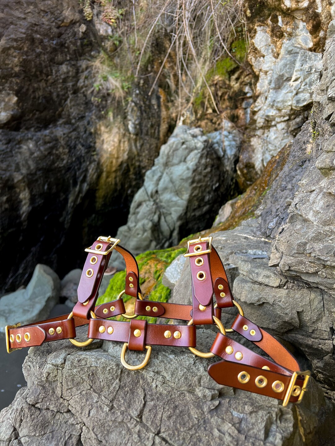 The Madrone Harness - Etsy