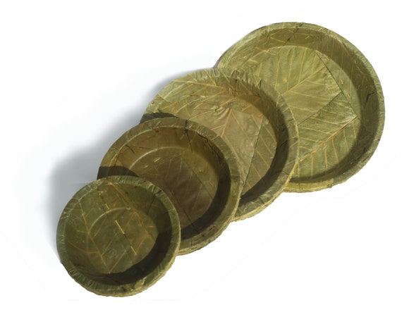 TAPARI Beautiful Sturdy Eco-friendly Disposable Leaf Plates - Etsy