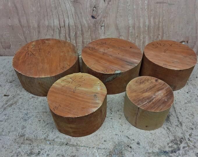 Plum Wood Bowl Turning Blanks 5pc - Etsy