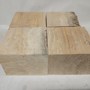 Big Leaf Maple Quarter Sawn Wood Turning Bowl Blanks 4 - Etsy