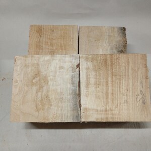 Big Leaf Maple Quarter Sawn Wood Turning Bowl Blanks 4 - Etsy