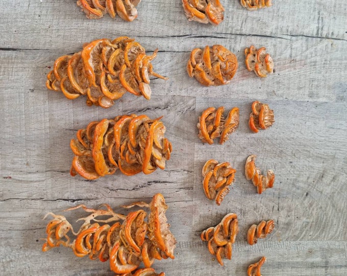 Clicker Fungus Prosthetics, the Last of Us Cosplay, the Clicker Costume ...