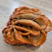 The Last of Us Clicker Mask, the Clicker Cosplay Mask, Fungus Mask ...
