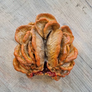 The Last of Us Clicker Mask, the Clicker Cosplay Mask, Fungus Mask ...