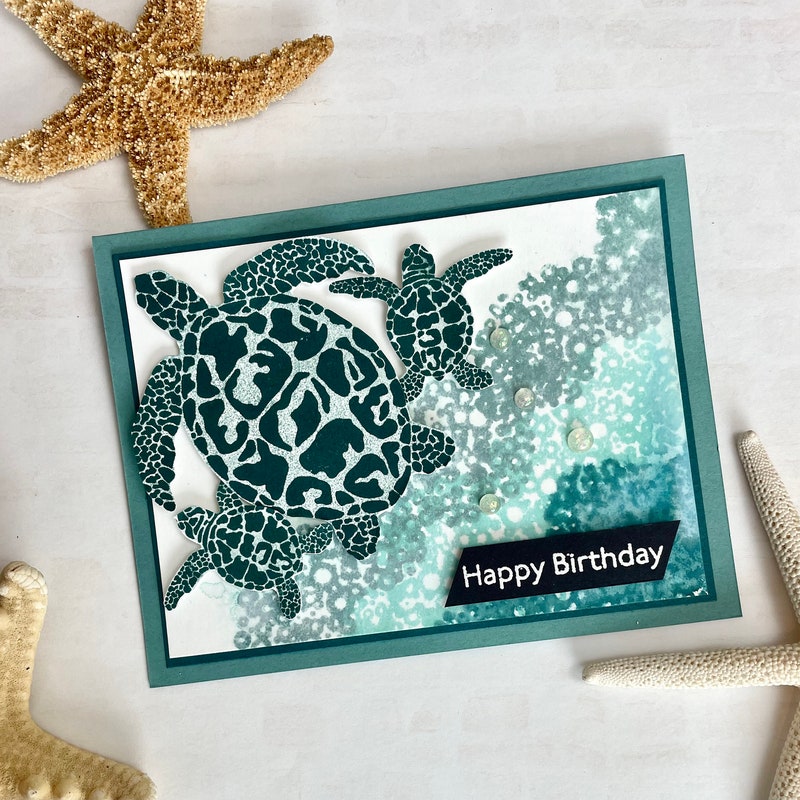 Turtle Birthday Card - Etsy